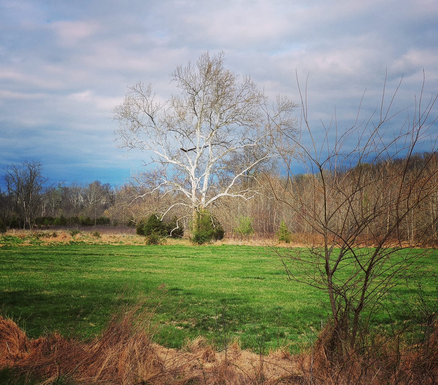 Resident Life - Meadows at Morris Farm